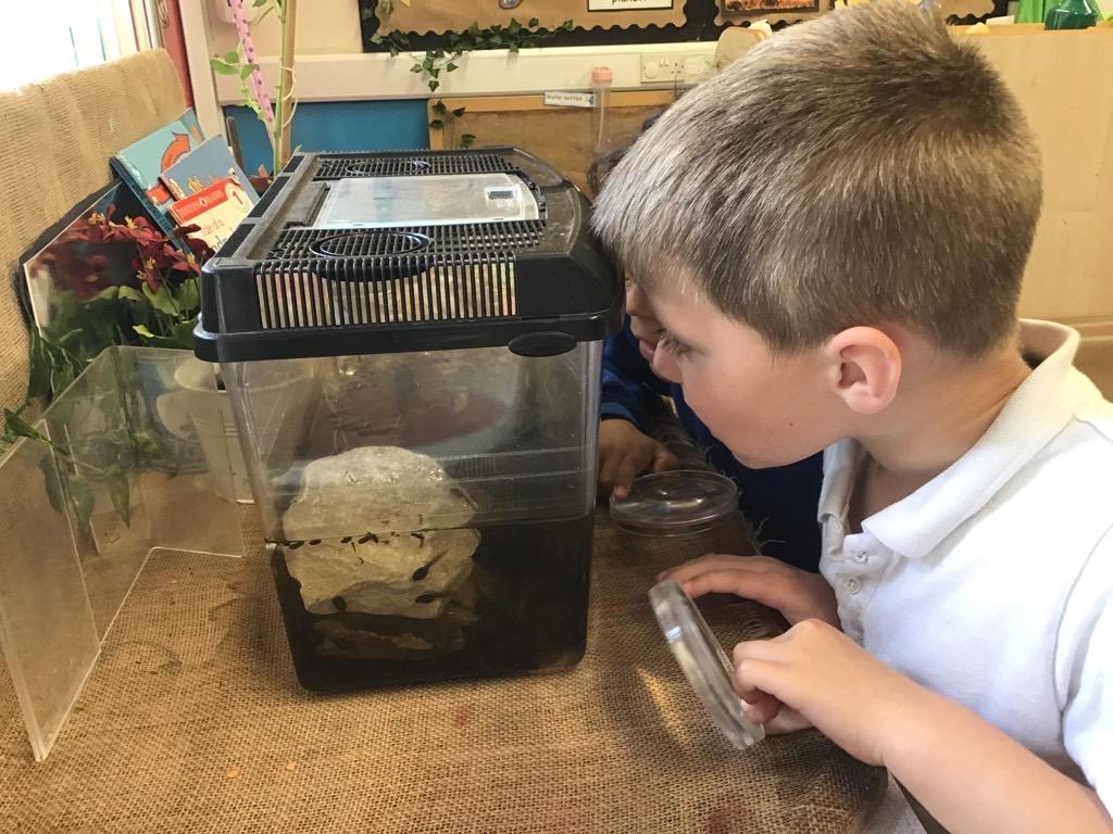 Early Years at Settle Primary School | Settle CE Primary School